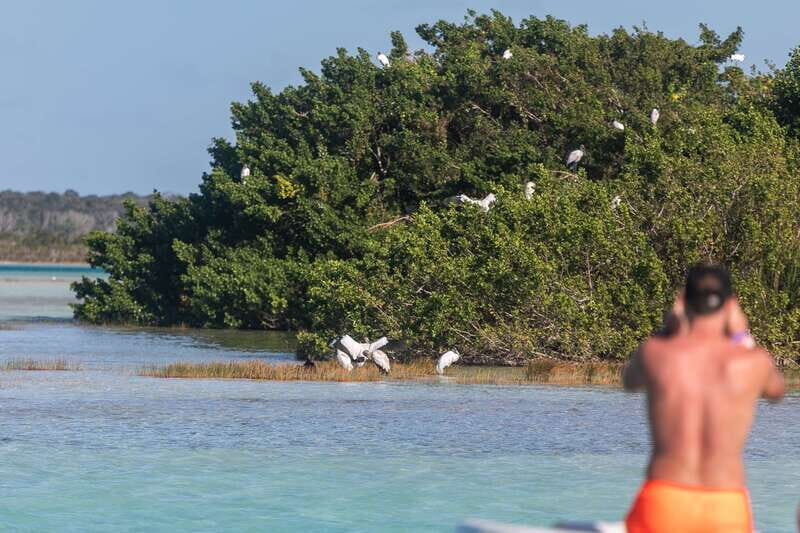 Bacalar: Full Day Kayak Rental in the Lagoon of Seven Colors - Key Points