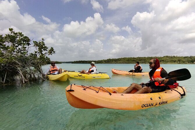 Bacalar Lagoon & Kayak Tour in Club Marmol from Playa del Carmen - Key Points