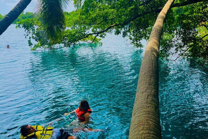 Bacalar Lagoon & Kayak Tour in Club Marmol from Playa del Carmen - What We’ve Learned from Reviews