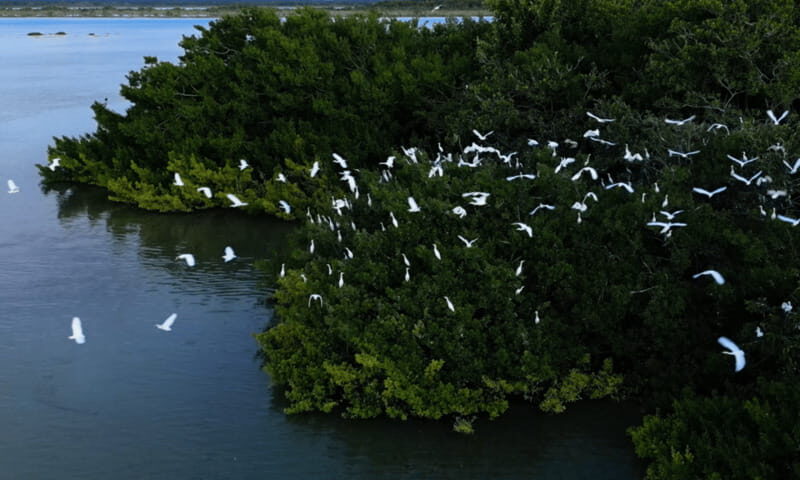 Bacalar: Lagoon, Pirate Canal, Stromatolite Day Trip w/Lunch - Final Thoughts: Who Is This Tour Best For?