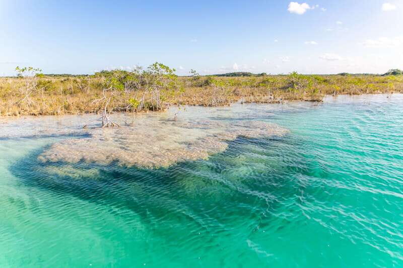 Bacalar: Private Boat Tour - Pirate Canal, Cenotes & Islands - Practical Tips for Booking