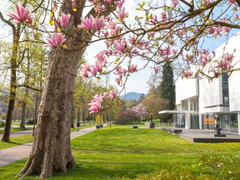 Baden-Baden: Sightseeing Highlights Guided Walking Tour - Authentic Experiences from Reviews