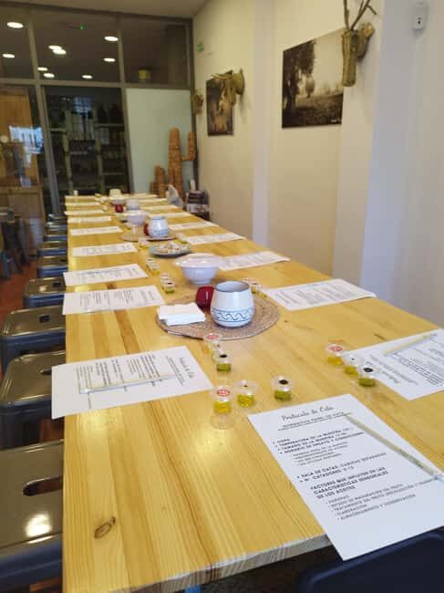 Baeza: Olive Oil Tasting Experience - The Experience’s Highlights