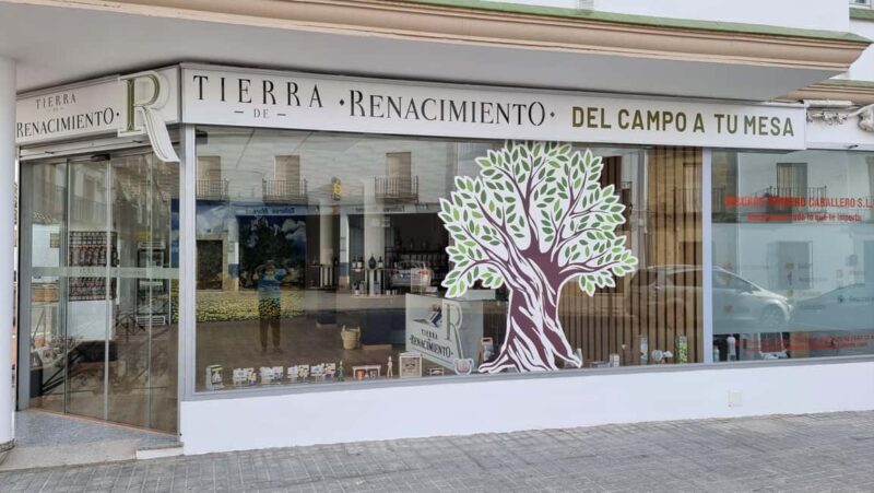 Baeza: Visit to an Organic Olive Grove + Oil Tasting - Key Points