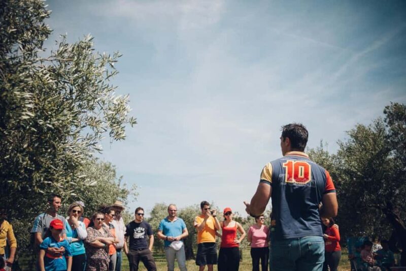 Baeza: Visit to an Organic Olive Grove + Oil Tasting - Value and Pricing