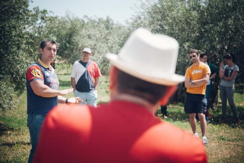 Baeza: Visit to an Organic Olive Grove + Oil Tasting - FAQ