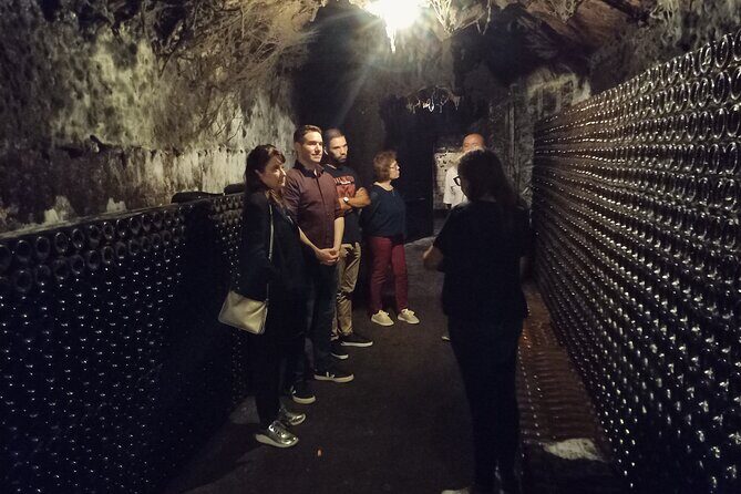 Bairrada Winery Route, half day from Coimbra - Who Will Love This Tour?