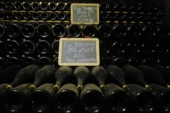 Bairrada Winery Route, half day from Coimbra - The Sum Up