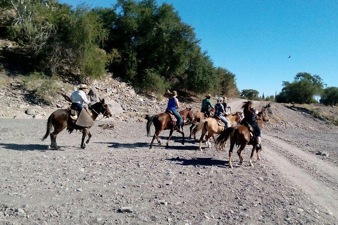 Baja Desert Horseback Riding Tour - An In-Depth Look at the Baja Desert Horseback Riding Tour