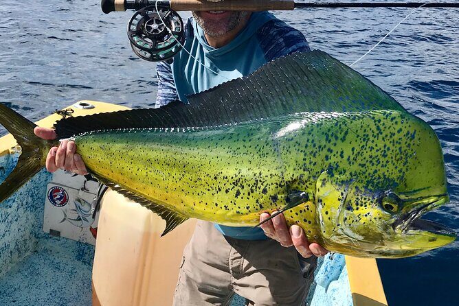 Baja Fishing Dream Roosterfish Dorado Marlin Yellowtail Tuna - Key Points