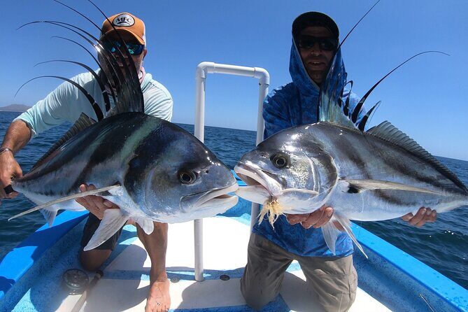 Baja Fishing Dream Roosterfish Dorado Marlin Yellowtail Tuna - The Sum Up