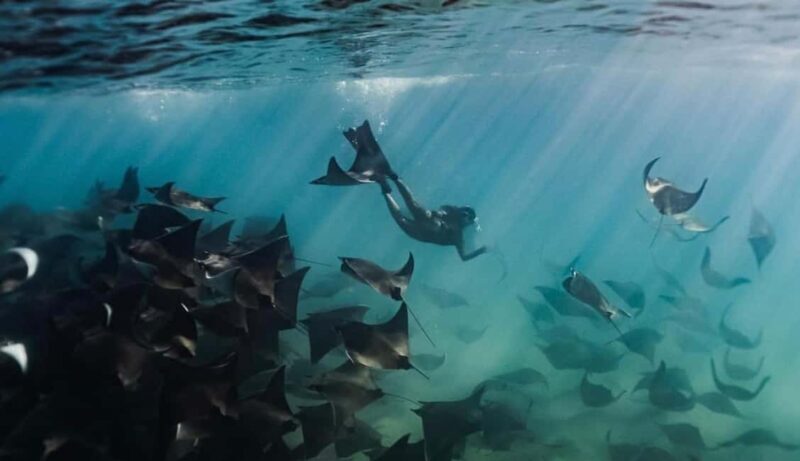 Baja Sur 4 days / 3 nights - An In-Depth Look at the Baja Sur 4-Day Tour