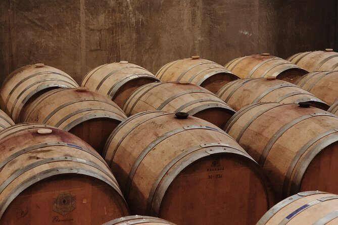 Baja Tour Guide wine tour - Why the Tour Earns High Praise