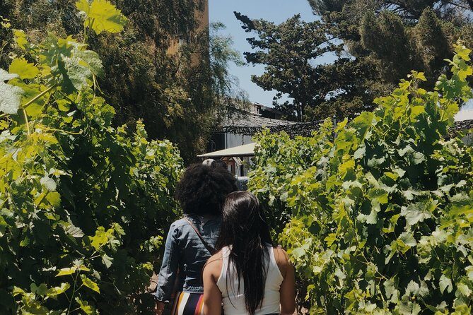 Baja Tour Guide wine tour - Practical Details