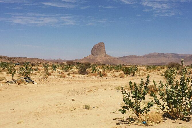 Baja UTV Adventure Canyon Exploration and Tequila Tasting - The Itinerary Breakdown: What to Expect