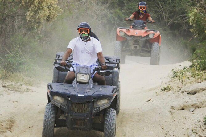 Baja's ATV Desert and Beach Tour - Wildlife & Scenic Highlights