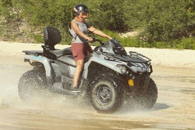 Baja's ATV Desert and Beach Tour - Value for Money