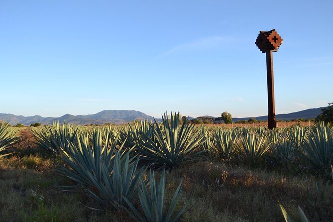 Bajas Hidden Feast: From Smoky Mezcal to Seefood Cuisine - The Culinary Finale