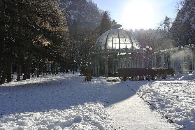 Bakuriani ski resort and the legendary Borjomi (Group Tour) - Final Thoughts