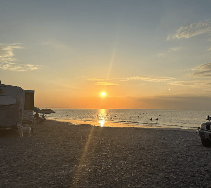 Balandra and Tecolote Beaches Day Trip with Lunch - A Closer Look at the Day Trip Experience