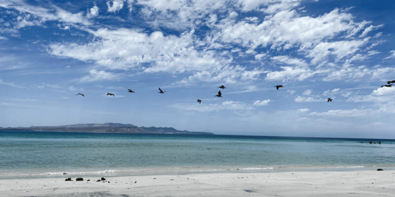 Balandra and Tecolote Beaches Day Trip with Lunch - FAQ