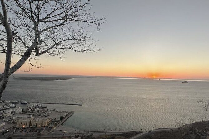 Balandra and Tecolote Beaches Day Trip with Lunch - Who Will Love This Tour?