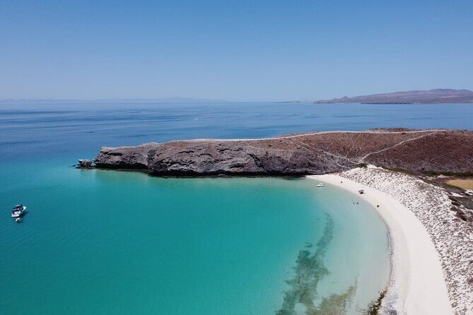 Balandra Bay Private Snorkeling and Sea Lions - Why Choose This Tour?