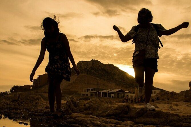 Balandra Beach & City Tour La Paz & Todo Santos hotel California - Who Will Love This Tour