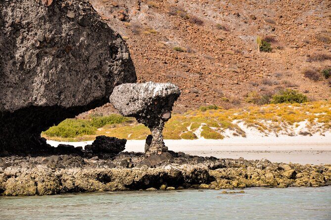 Balandra Beach Escape with Snorkeling and Wildlife Watching - Introduction: A Perfect Balance of Adventure and Relaxation