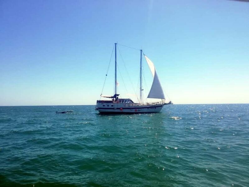 Balchik: 4-Hour Black Sea Cruise With Lunch and Drinks - An Overview of the Black Sea Cruise Experience