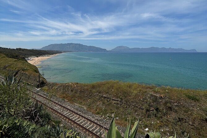 Balestrate Olive Grove Tour: Wine and Olive Oil Tasting - Exploring the Itinerary in Detail