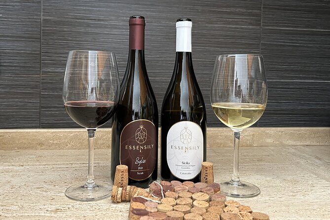 Balestrate Olive Grove Tour: Wine and Olive Oil Tasting - Final Thoughts: Who Should Consider This Tour?