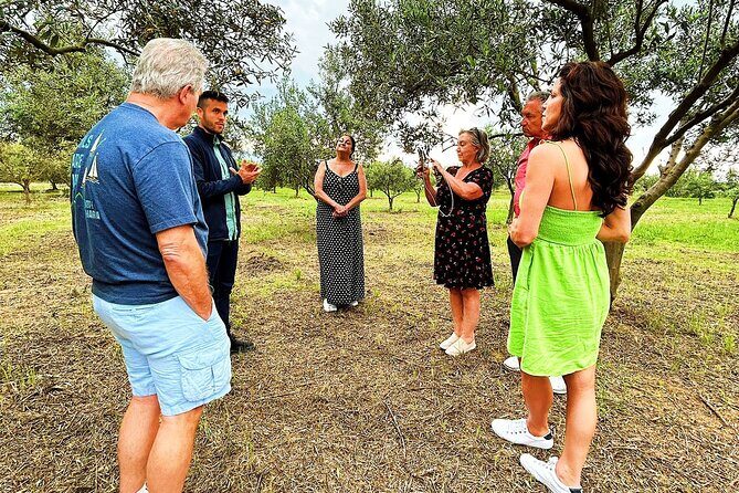 Balestrate Olive Grove Tour: Wine and Olive Oil Tasting - FAQ
