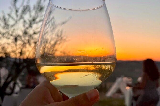 Balestrate Olive Grove Tour: Wine and Olive Oil Tasting - The Sum Up