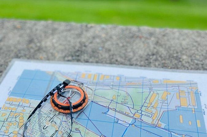 Ballard Locks Walking Activity Seattle - Unpacking the Experience: What to Expect