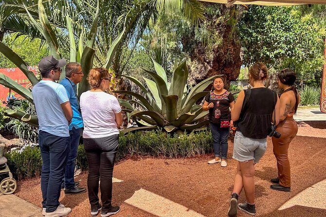 Balloon Flight with Teotihuacan & Guadalupe Shrine Full day Tour - Practical Tips for Travelers