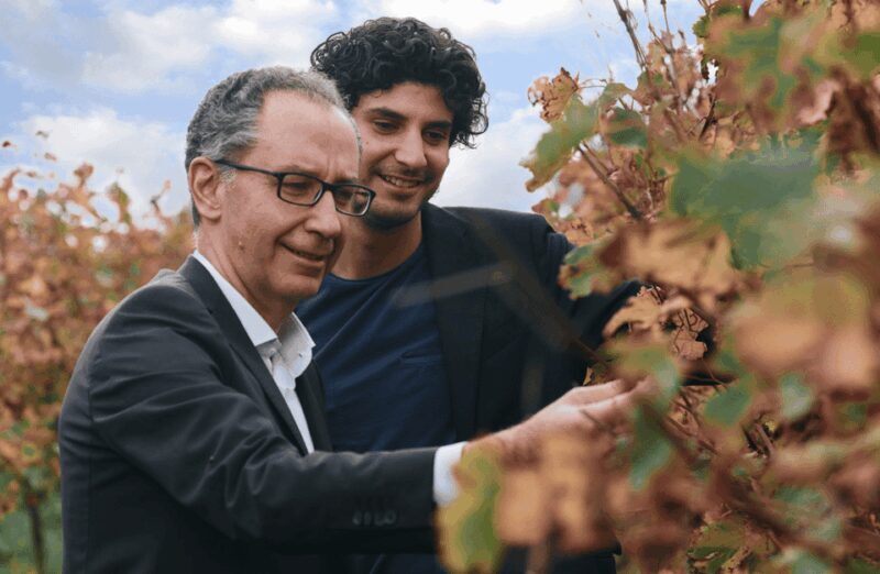 Balsamic Vinegar, Wine Tasting & Tour near Parma & Reggio - Key Points