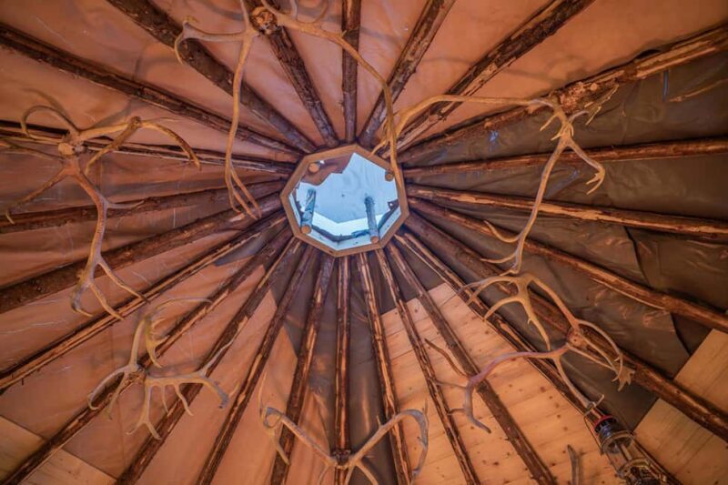 Balsfjord: Reindeer Sledding, Feeding & Sámi Culture - A Detailed Look at the Experience