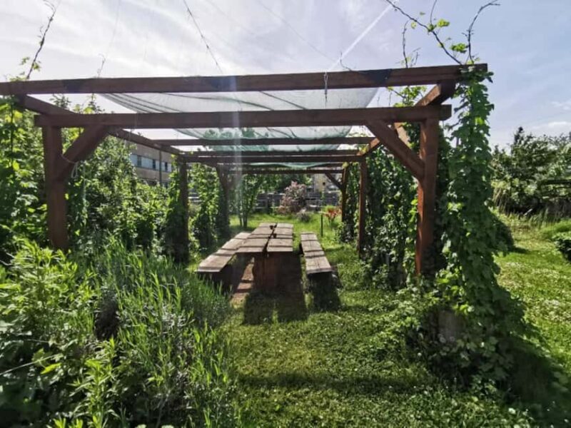 Bamberg: Beer & Brewery Tour - 2 Hour - English Or German - Discovering Bamberg’s Beer Heritage