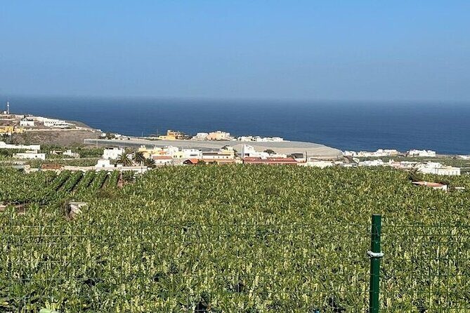 Banana Museum, Rum Distillery & Winery guided tour with tasting - Authentic Experiences and Honest Feedback