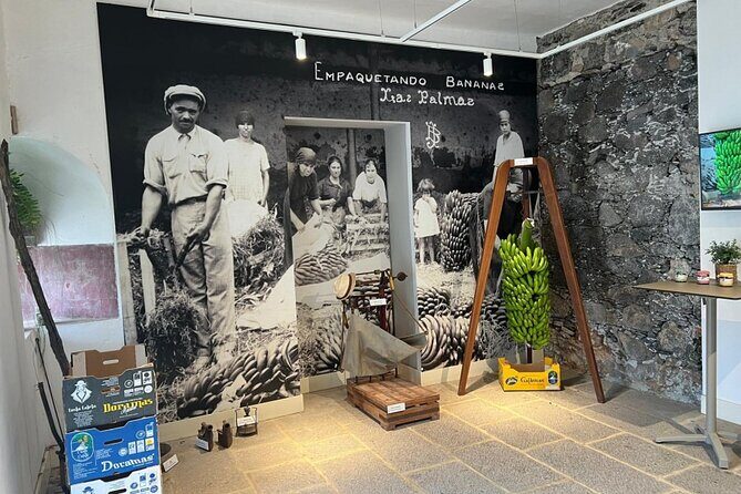 Banana Museum, Rum Distillery & Winery with Tasting: Premium tour - Is This Tour Right for You?