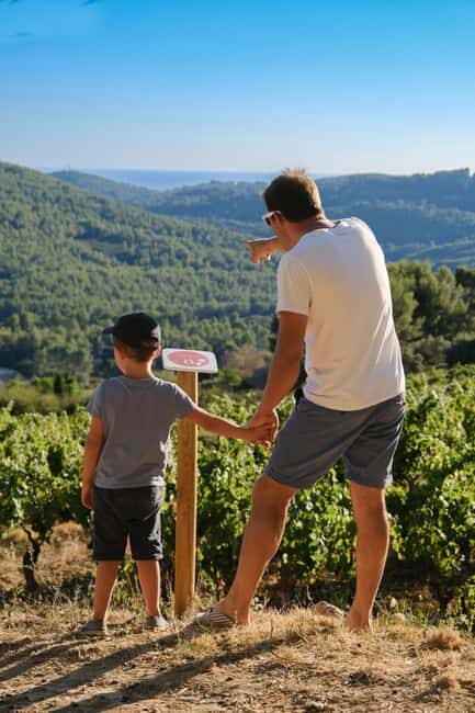 Bandol: Family Vineyard Tour and Tasting - Introduction