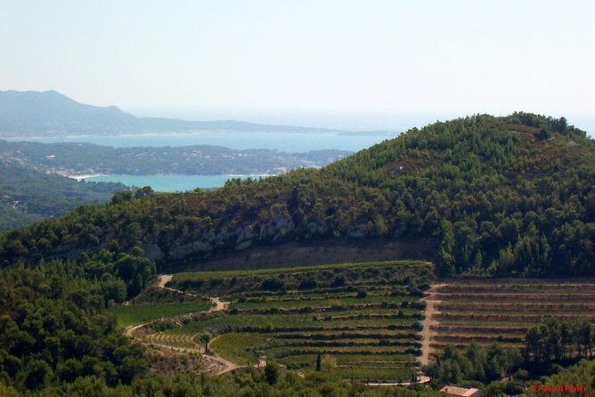 Bandol Wine Tour - 4 hour Private tour - FAQs