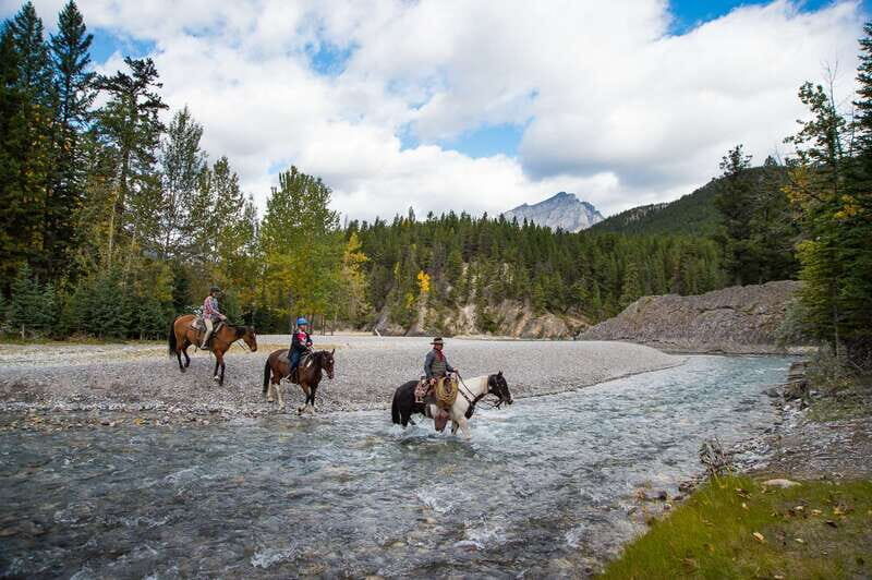 Banff: 4-Hour Sulphur Mountain Intermediate Horseback Ride - Who Will Love This Tour?