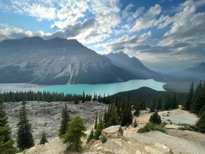 Banff and Jasper National Parks: Tour with Transport - Key Points