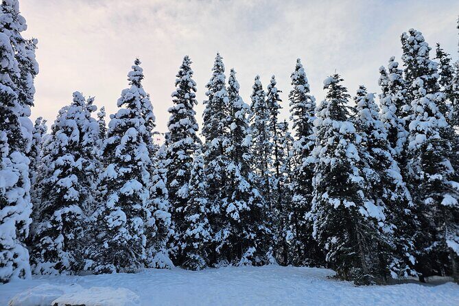 Banff and Yoho Winter Wonderland Private Tour - FAQ