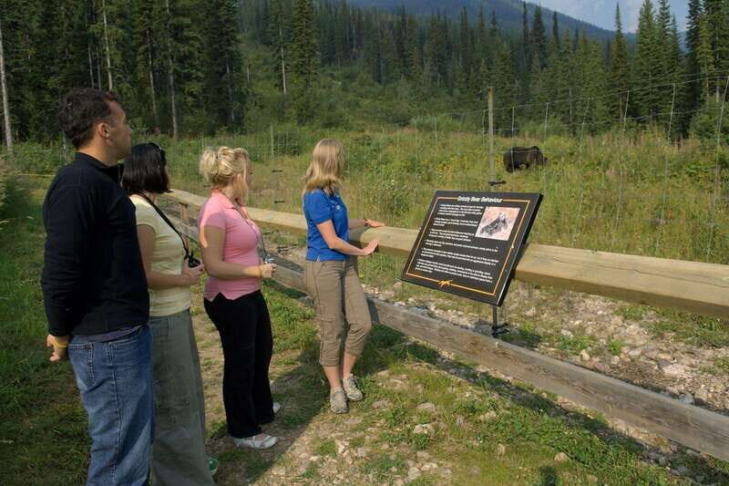 Banff: Edible and Medicinal Plants Nature Walk - Practical Tips for Your Tour
