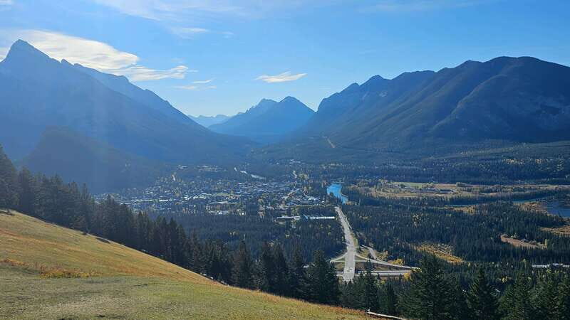 Banff: Evening Wildlife Safari Guided Tour - Transport and Group Size