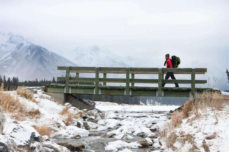 Banff: Explore Winter Nature Walk - Ice Cleats Included 2H - Who Will Love This Tour?