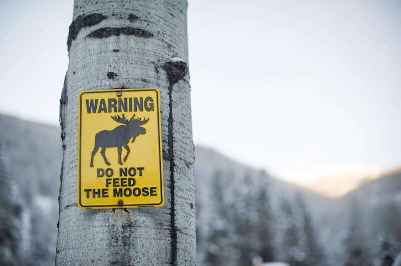 Banff: Explore Winter Nature Walk - Ice Cleats Included 2H - FAQ